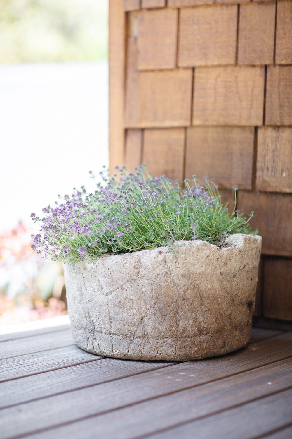 DIY Hypertufa Stone Planter Tutorial for a Rustic Porch Look - My Sweet ...