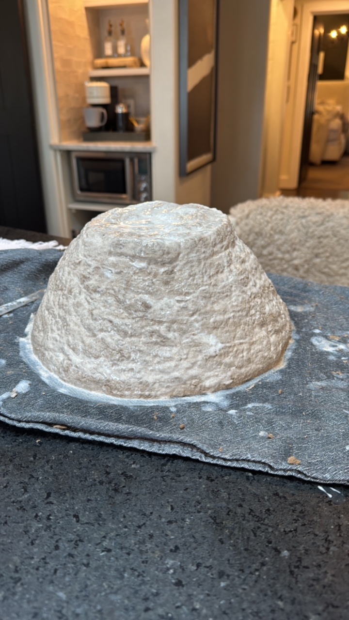 Easy Paper Mache Bowl with Peat Pots - My Sweet Savannah