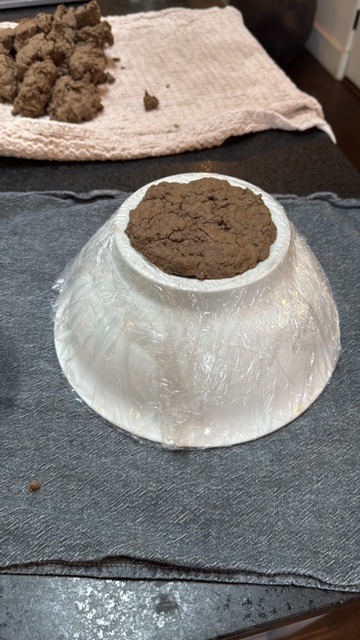 Easy Paper Mache Bowl with Peat Pots - My Sweet Savannah